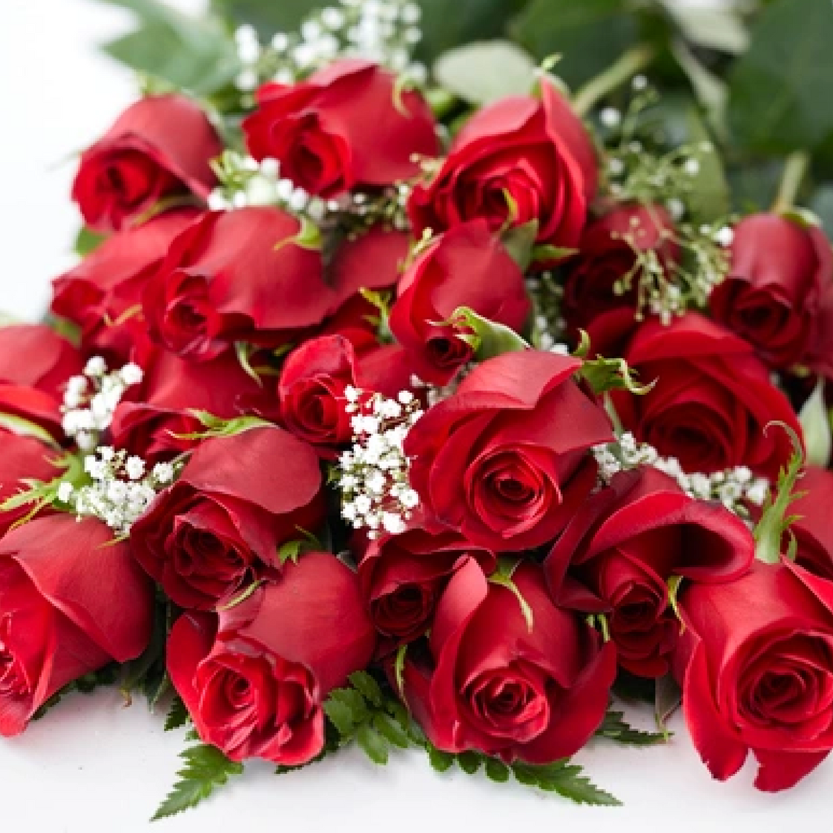Classic Rose Bouquet with Filler - Standard Wrapping – Flower Accents